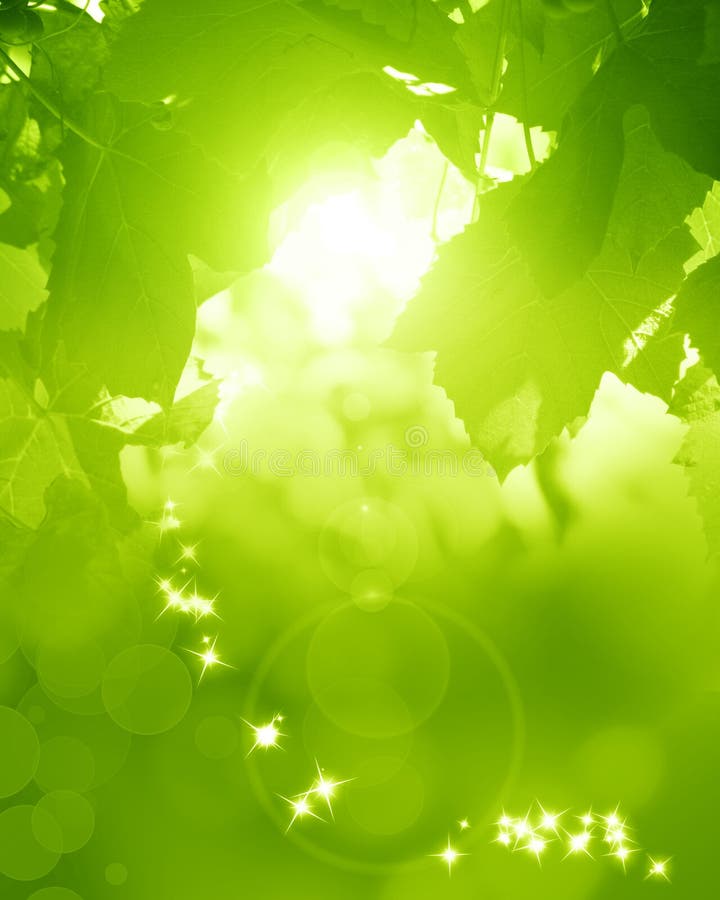 Green and fresh background stock illustration. Illustration of backdrop ...