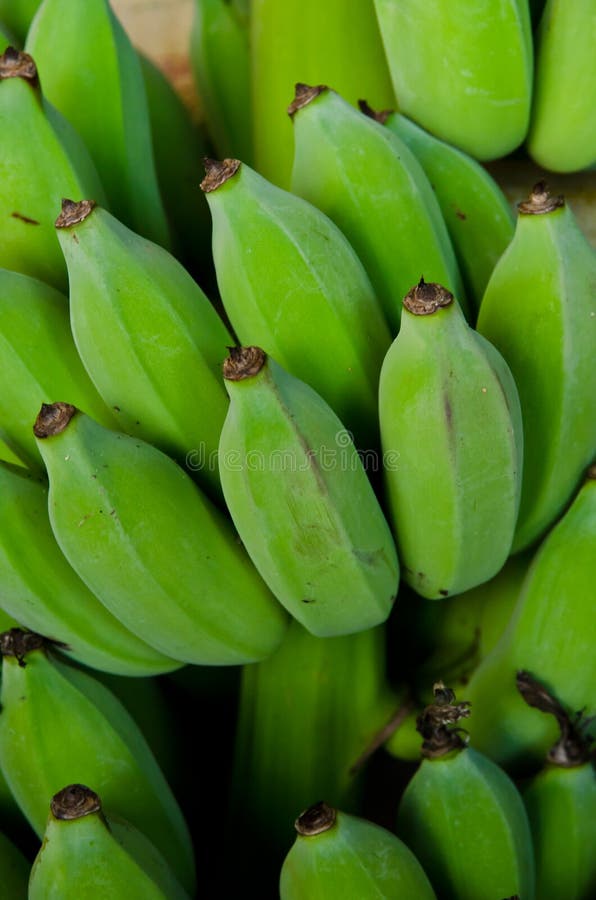 Green fresh banana. stock photo. Image of background - 23896848