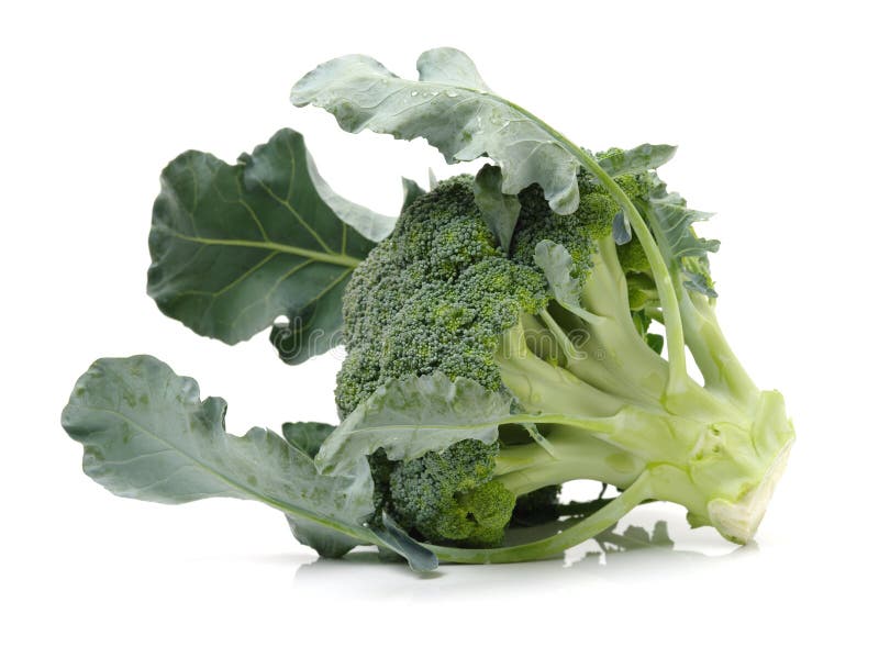 Green fresh broccoli stock image. Image of green, diet - 131031897
