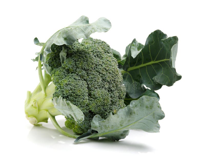 Green fresh broccoli stock photo. Image of abstract - 133425246