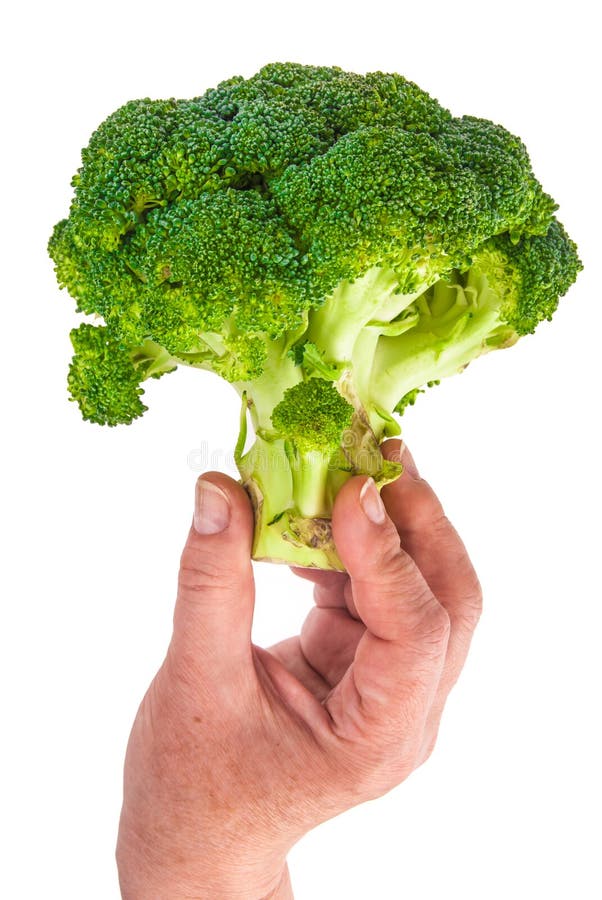 Green Fresh Broccoli in Hands Stock Photo - Image of give, branch: 53118046