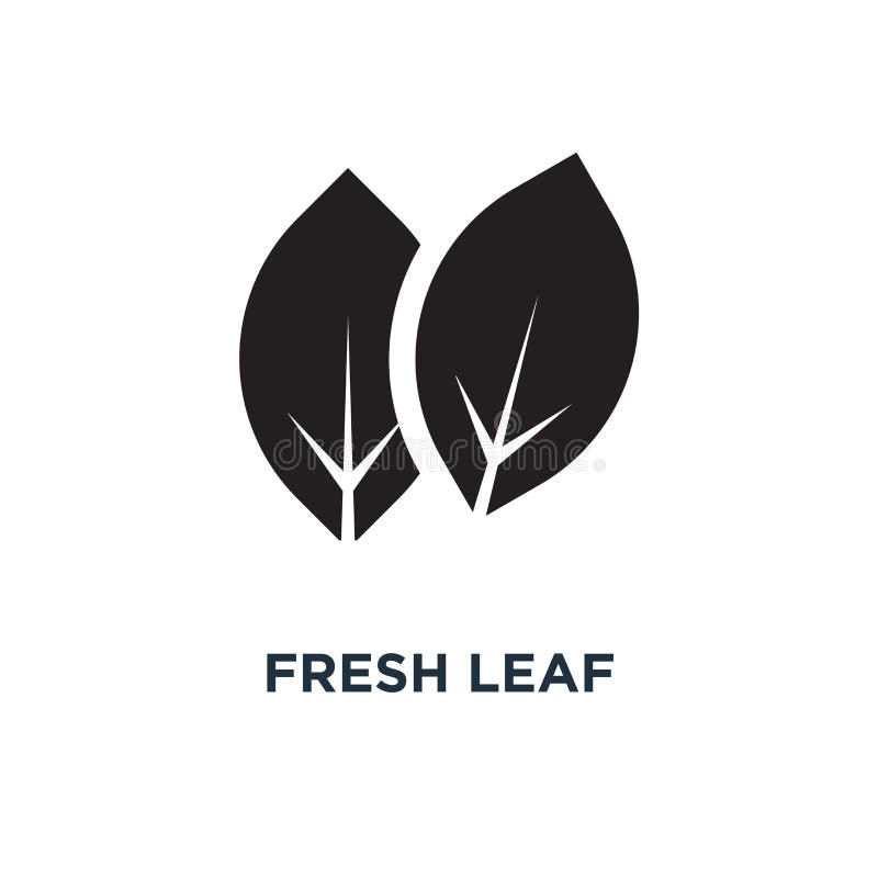 Green Fresh Leaf Icon. Simple Element Illustration Stock Vector ...