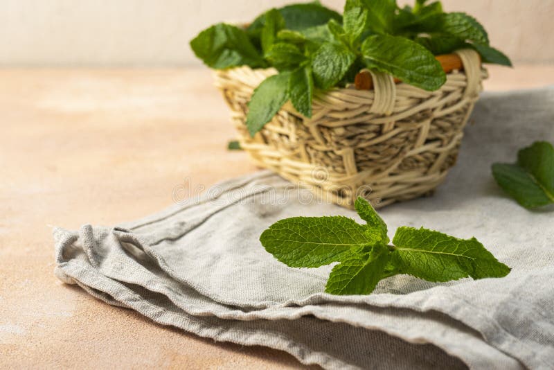 Green Fresh Mint in a Basket Stock Photo - Image of people, balm: 188728896