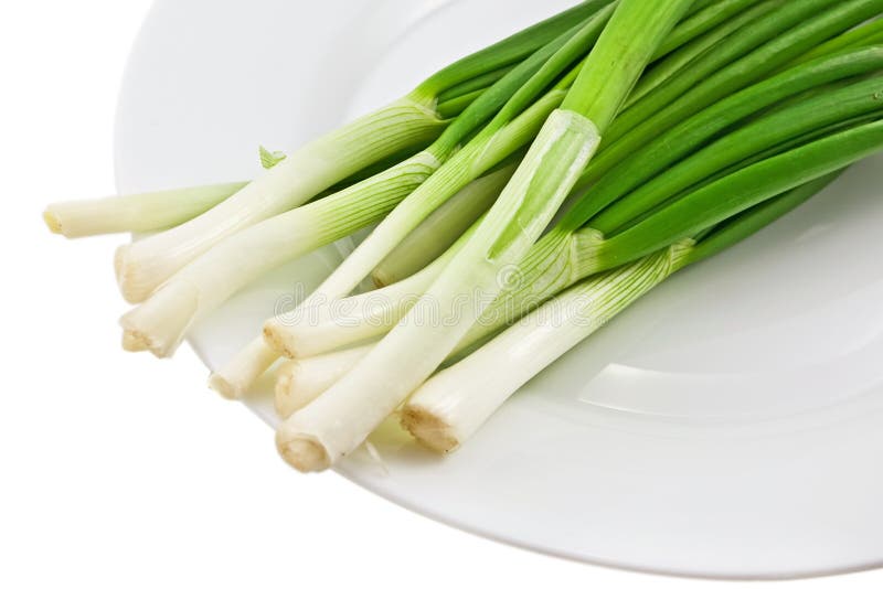Green fresh onion stock image. Image of root, cuisine - 14520965
