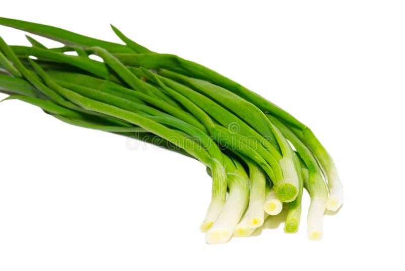 Fresh green spring onions stock image. Image of isolated - 9342469