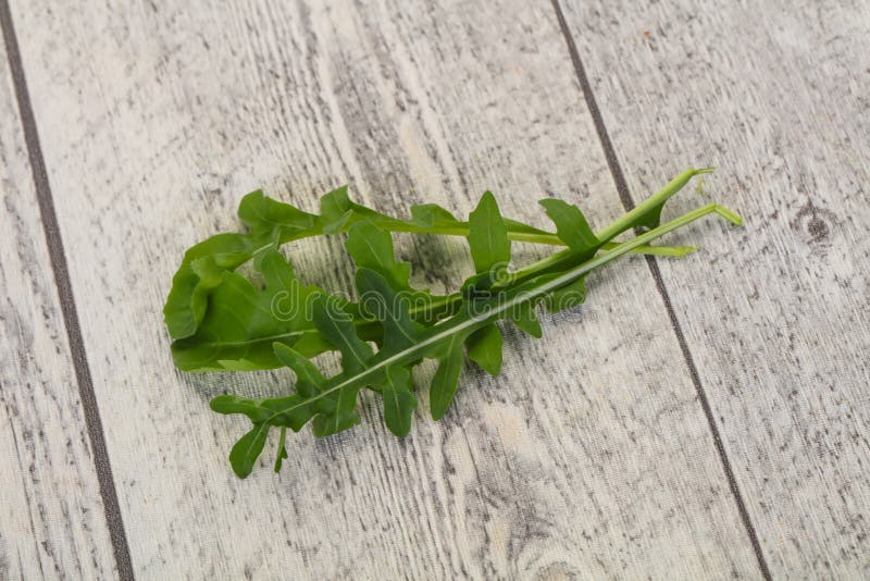 Green fresh Rocket leaves stock image. Image of organic - 151386995