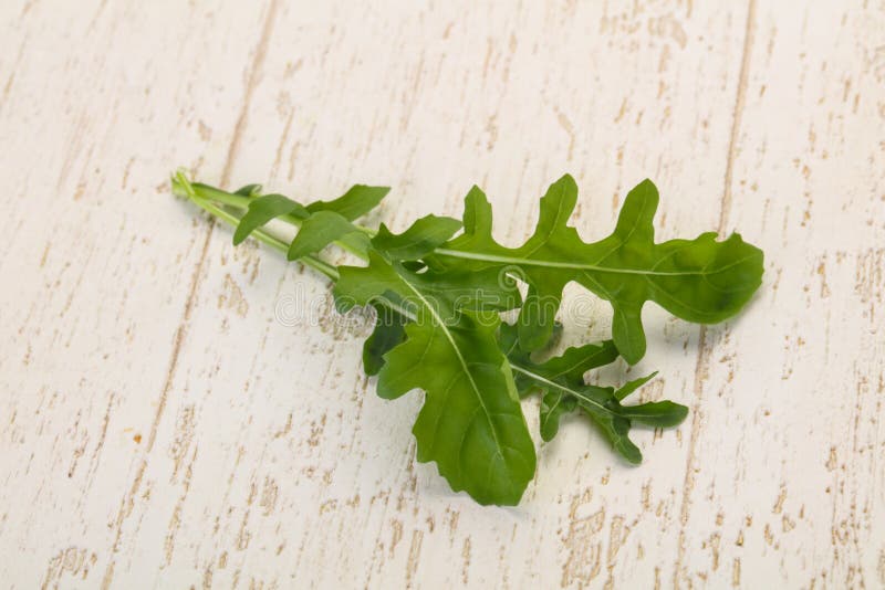 Green fresh Rocket leaves stock image. Image of diet - 183126223