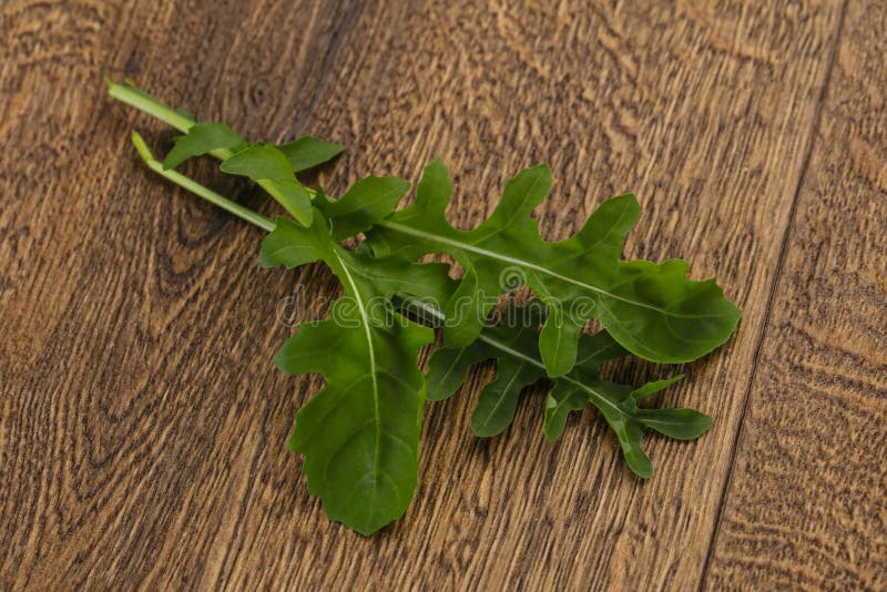 Green fresh Rocket leaves stock photo. Image of ruccola - 142630866