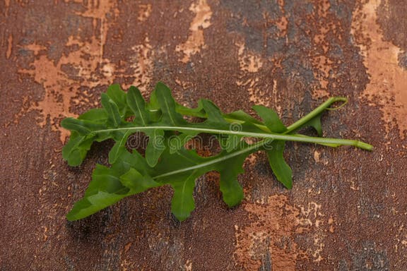 Green fresh Rocket leaves stock image. Image of food - 142749831