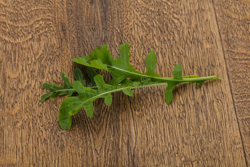 Green fresh Rocket leaves stock photo. Image of background - 146122882
