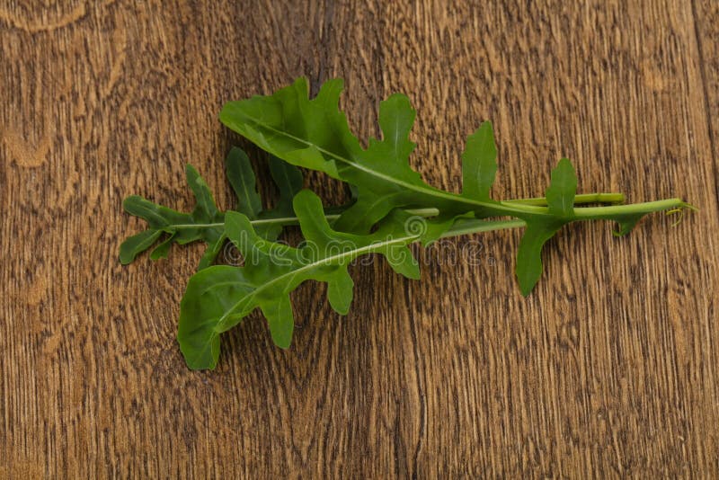 Green fresh Rocket leaves stock image. Image of diet - 151051607