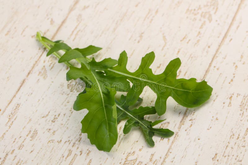 Green fresh Rocket leaves stock photo. Image of eating - 153510136