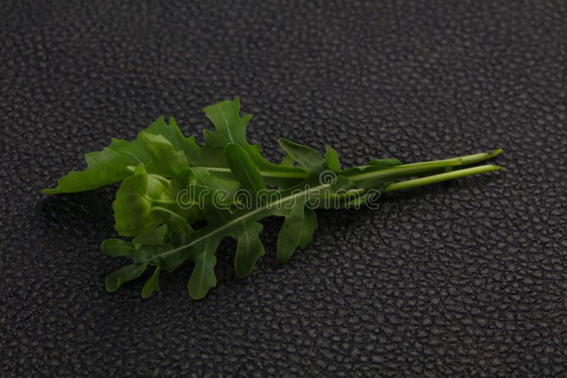 Green fresh Rocket leaves stock photo. Image of background - 153778784