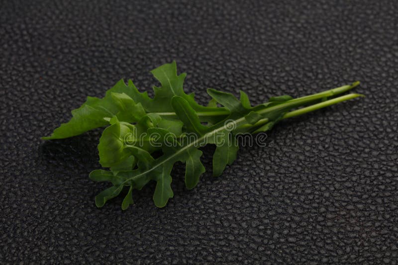 Green fresh Rocket leaves stock image. Image of edible - 156693781
