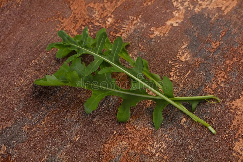 Green fresh Rocket leaves stock image. Image of ingredient - 161789453