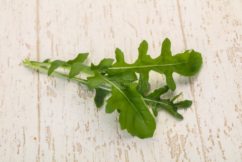 Fresh rocket leaves stock image. Image of green, leaves - 18545117