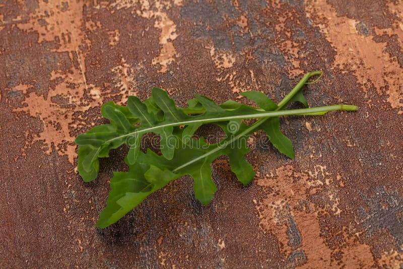 Rocket leaves stock image. Image of green, italian, white - 8789617