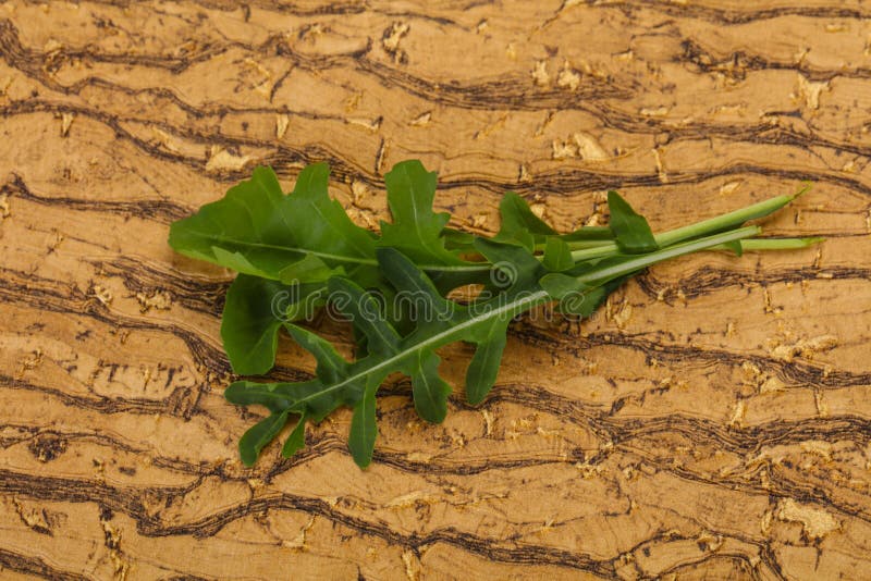 Green fresh Rocket leaves stock image. Image of nature - 192249935
