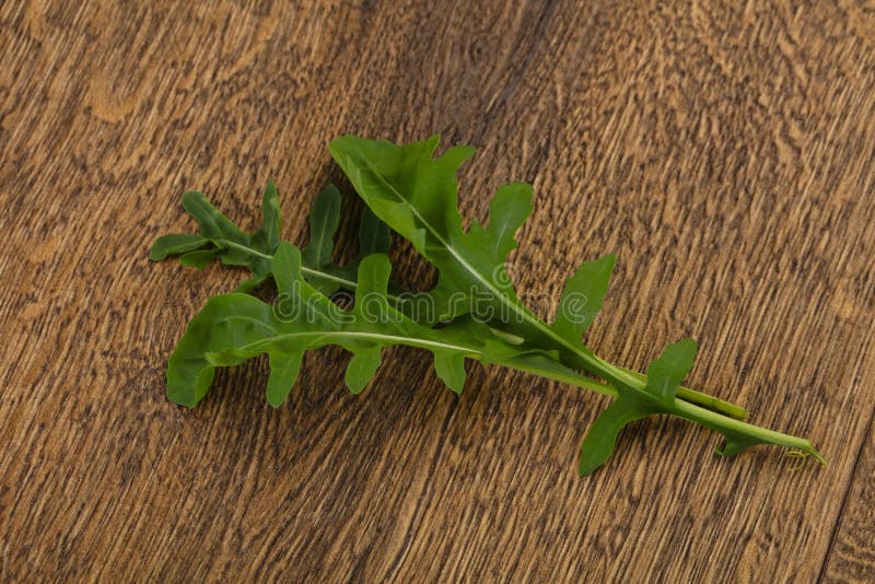 Green fresh Rocket leaves stock image. Image of rucola - 199644053