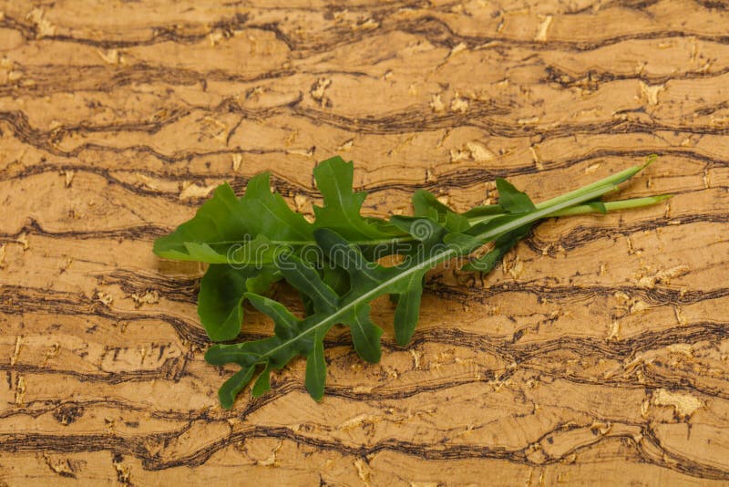 Green fresh Rocket leaves stock photo. Image of rucola - 199754116