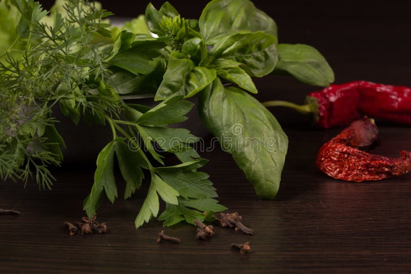 Green fresh spices stock photo. Image of brass, grass - 78874596