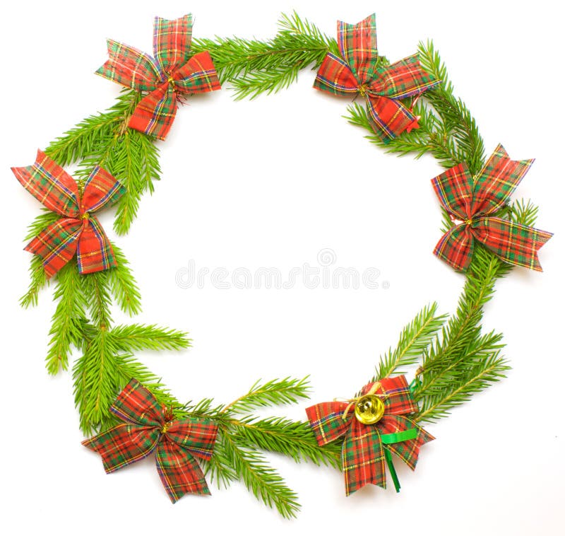 Green fresh spruce frame stock photo. Image of beautiful - 16748480