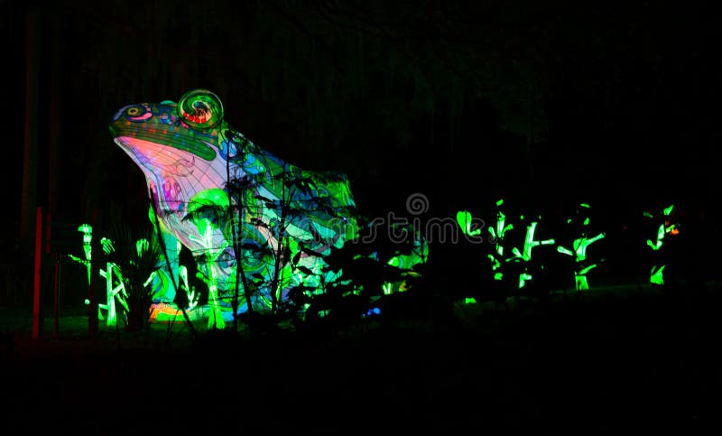 Frog lantern editorial stock image. Image of asian, evening - 167429024