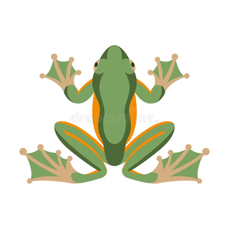 Frog Side Stock Illustrations – 1,232 Frog Side Stock Illustrations ...