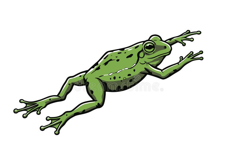 Hopping Frog Clipart. stock illustration. Illustration of skin - 360850860