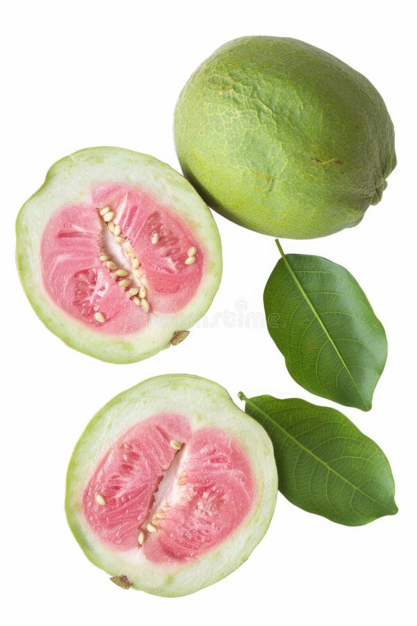 A Green Fruit with Pink Flesh is Cut in Half Stock Image - Image of ...