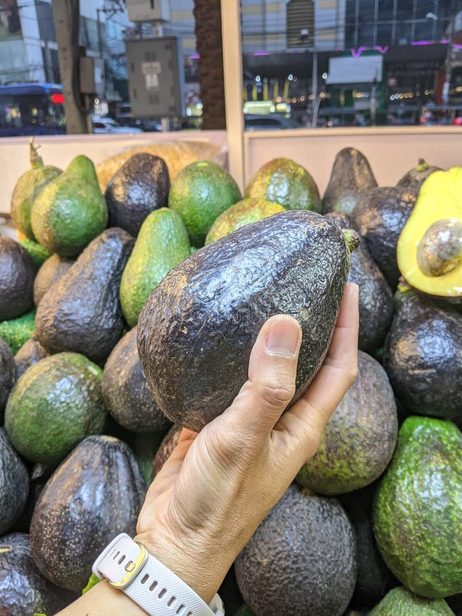 Green Fruits Known As Avocado Stock Photo - Image of green, avocado ...
