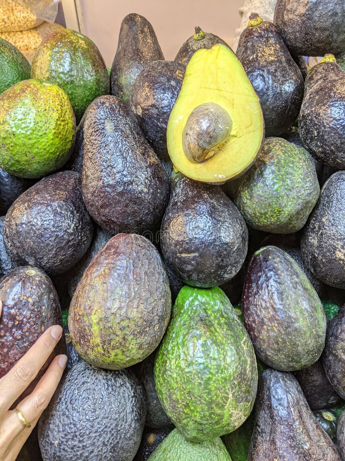 Green Fruits Known As Avocado Stock Photo - Image of fruits, avocado ...