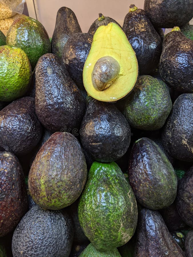 Green Fruits Known As Avocado Stock Image - Image of green, fruits ...