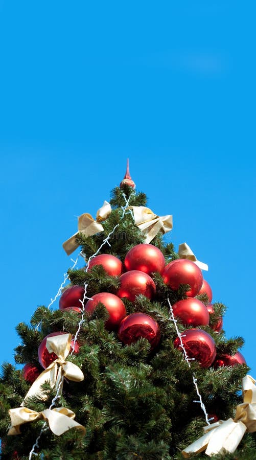 Green Fur Tree with Blue Sky Stock Photo - Image of blue, close: 7298456