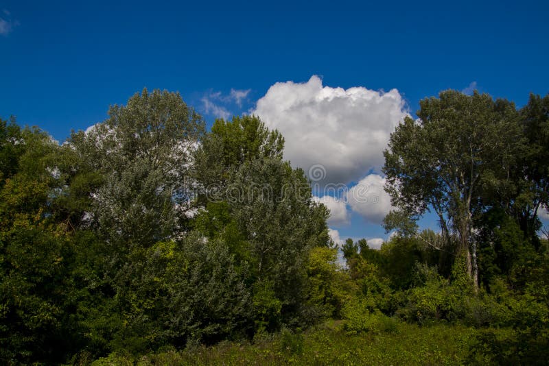 Green Gallery Forest in Hungary in Autumn Stock Image - Image of blue ...