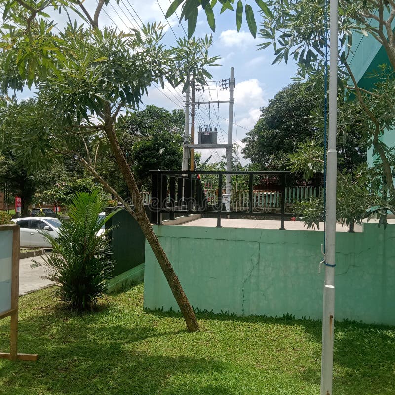 Green garden hall stock image. Image of courtyard, park - 261957587