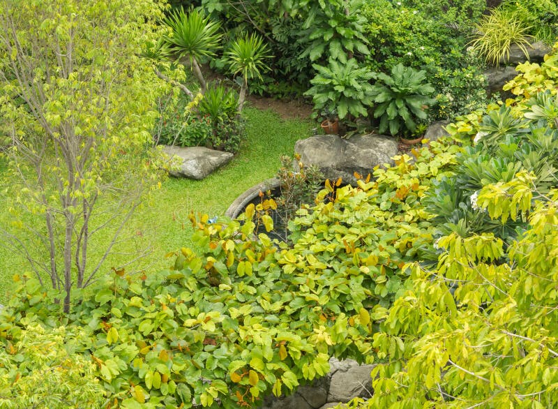 Green garden in home stock photo. Image of residence - 63015036