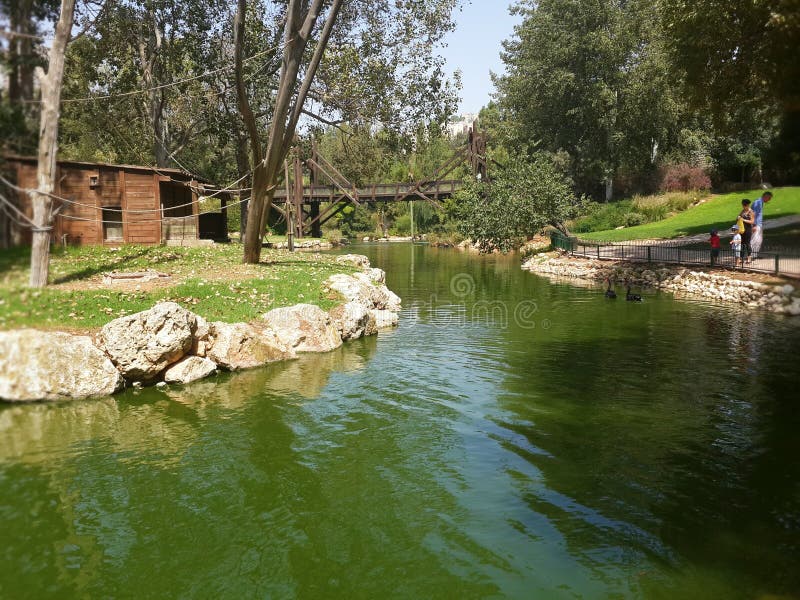 Green garden stock photo. Image of nature, place, lake - 59513316