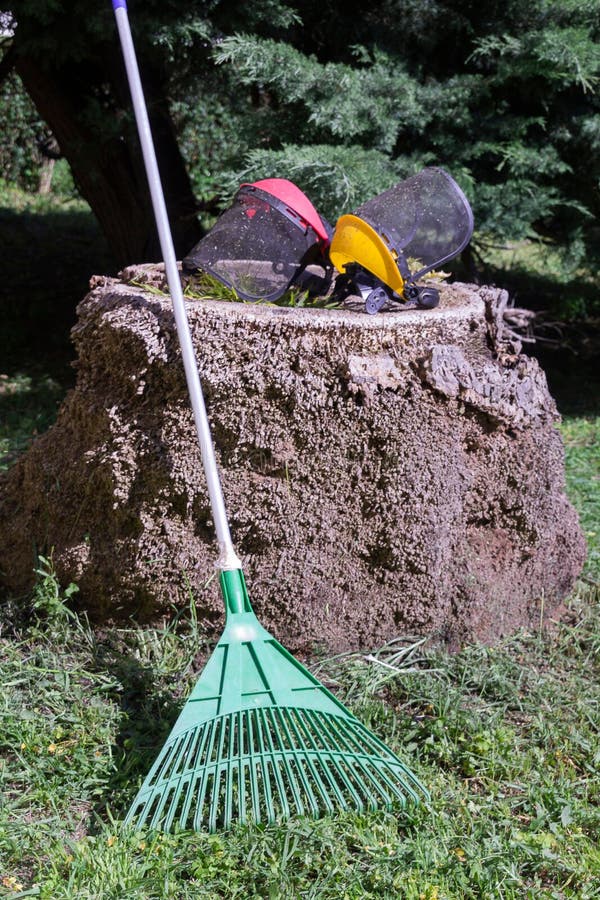 Green Garden Rake with Screen Mask on a Tree Stock Image - Image of ...