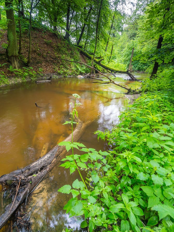 Green Garden - River - Spring Stock Image - Image of spring, colorful ...