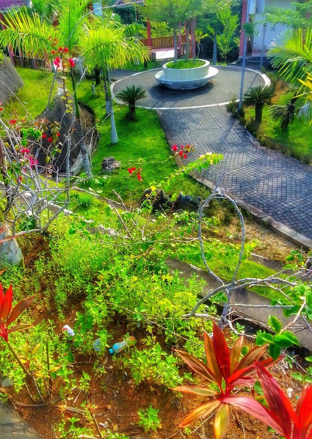 Green Garden of Sabang Merah Sanggau Stock Photo - Image of green ...