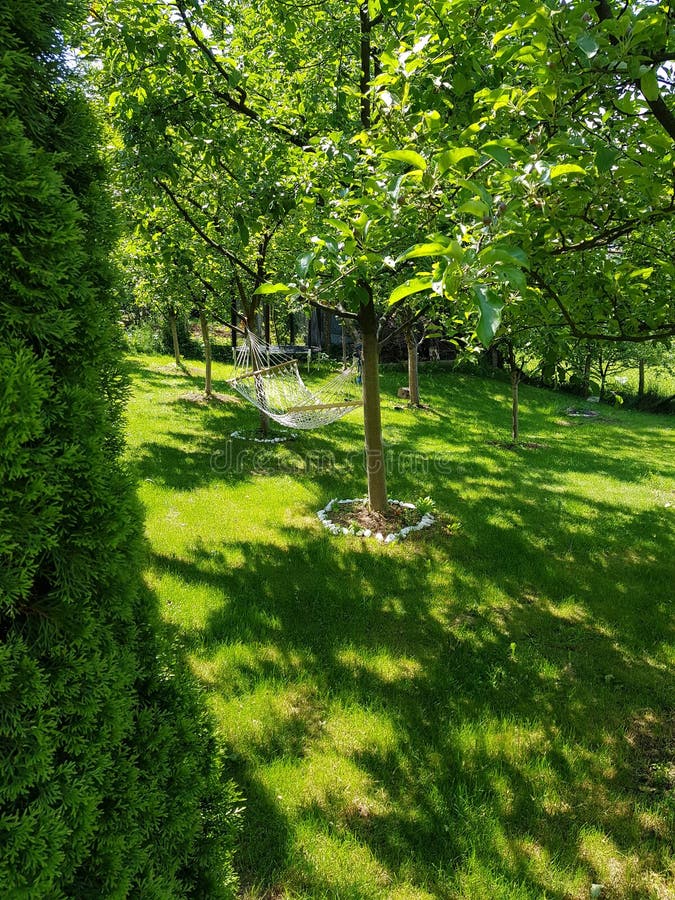 Green garden stock image. Image of sleeper, green, trees - 117934993