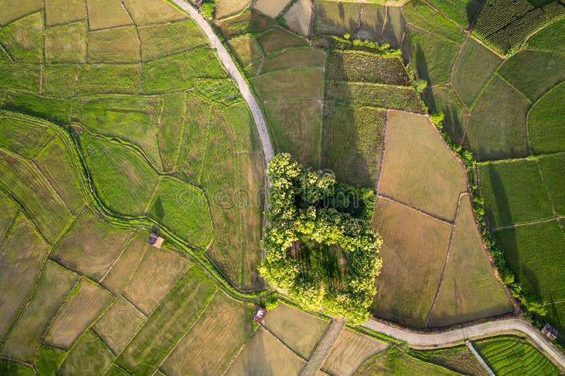 Grass Map Top View Vector Stock Photos - Free & Royalty-Free Stock ...