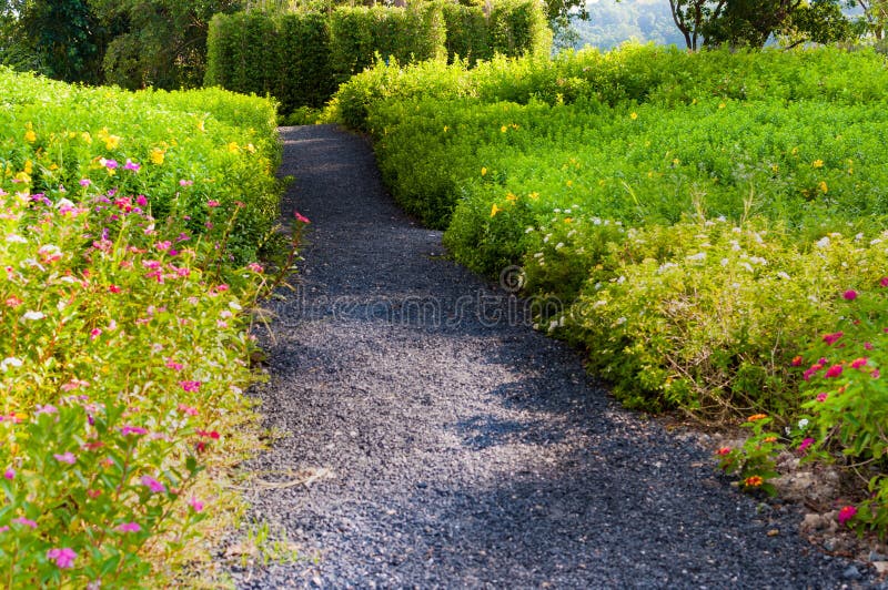Green Garden Top View with Small Pathway Stock Photo - Image of city ...