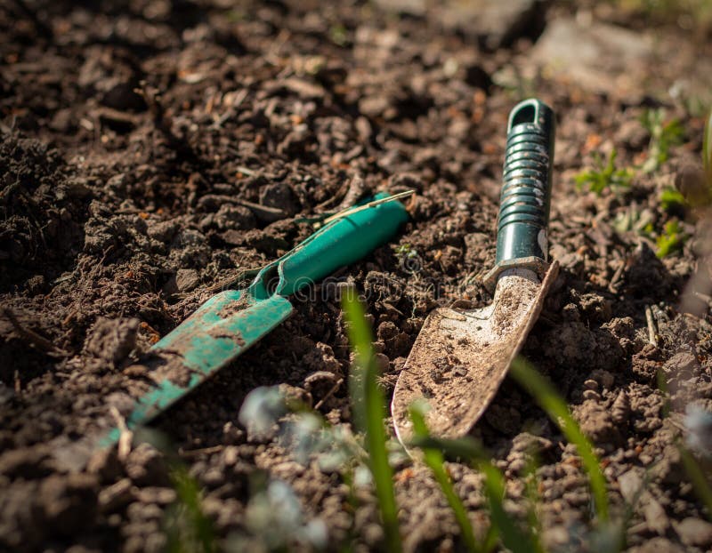 Green Gardening Tools Laying on the Soil Stock Image - Image of green ...