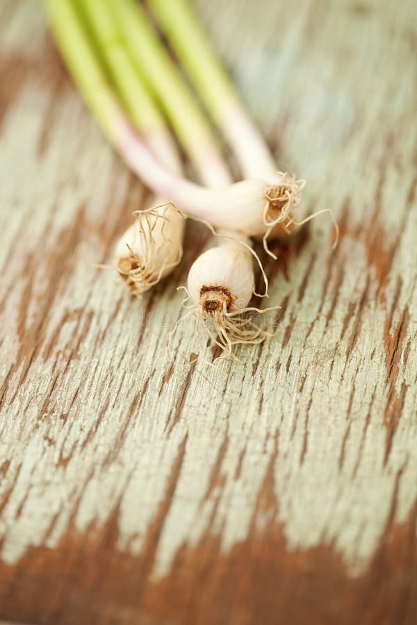 Green garlic stock image. Image of bundle, food, agriculture - 54148551
