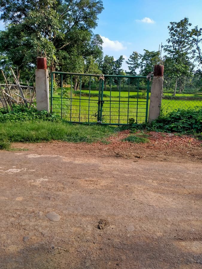 Green Gate with Compound in Farm Stock Image - Image of lawn, tree ...