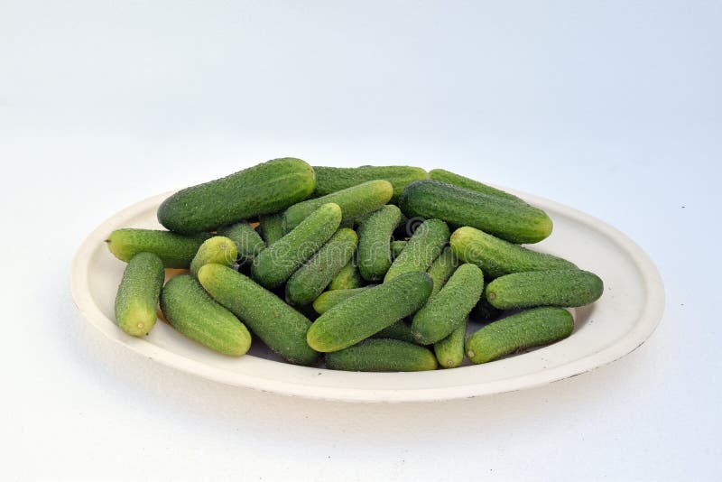 Gherkins Kornisoni Stock Photos - Free & Royalty-Free Stock Photos from ...