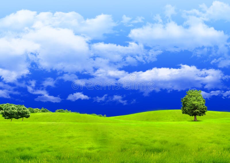 Green glade stock image. Image of idyllic, harvesting - 18988939