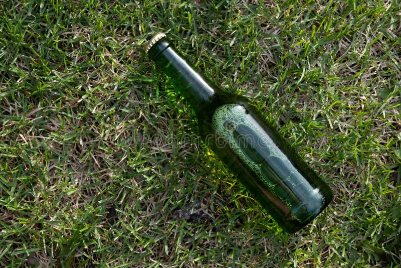 Green Glass Bottle of Beer on the Grass Stock Photo - Image of drop ...